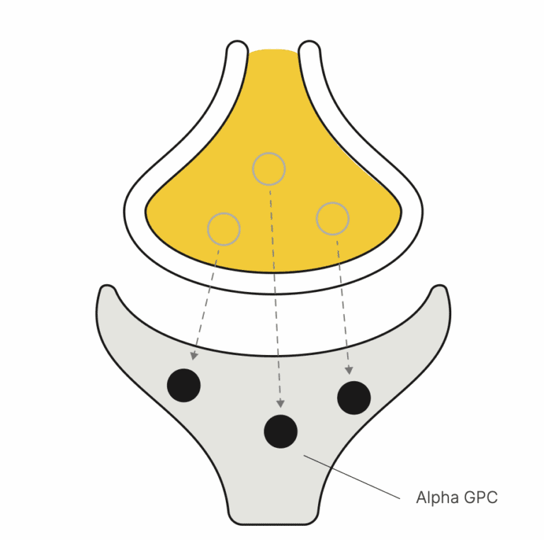 AlphaSize® - Chemi Nutra